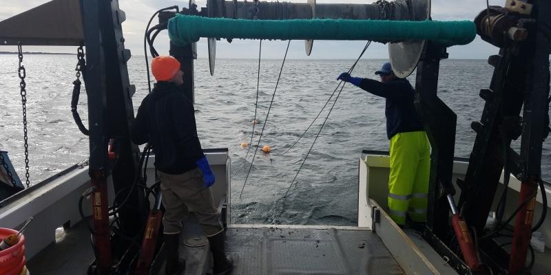 Coastal Trawl Survey | Rhode Island Department of Environmental Management
