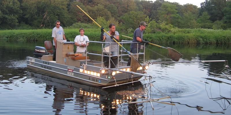 Freshwater & Diadromous Fisheries | Rhode Island Department of ...