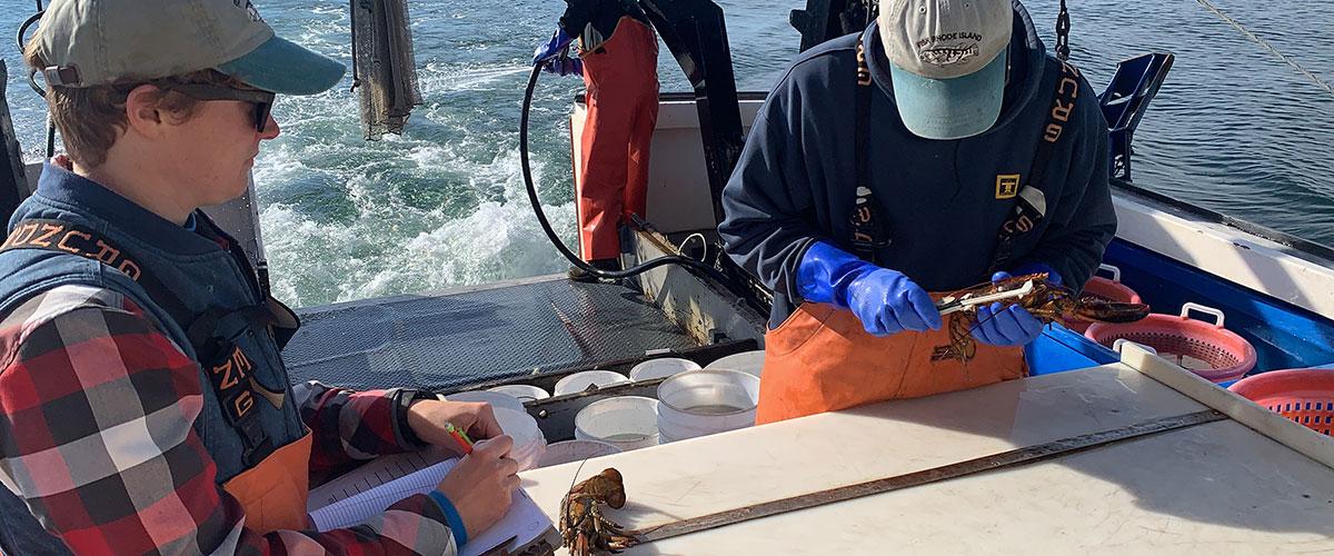 Marine Fisheries | Rhode Island Department of Environmental Management