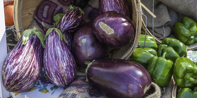 Rhode Island Agriculture | Rhode Island Department of Environmental ...