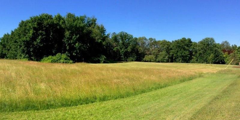 Earth Day | Rhode Island Department of Environmental Management