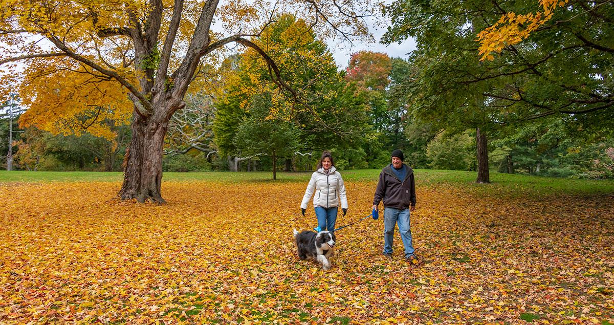 Opt Outside on Black Friday | Rhode Island Department of Environmental ...