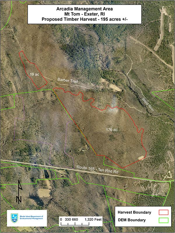 Forest Thinning and Timber Harvests on State Land | Rhode Island ...