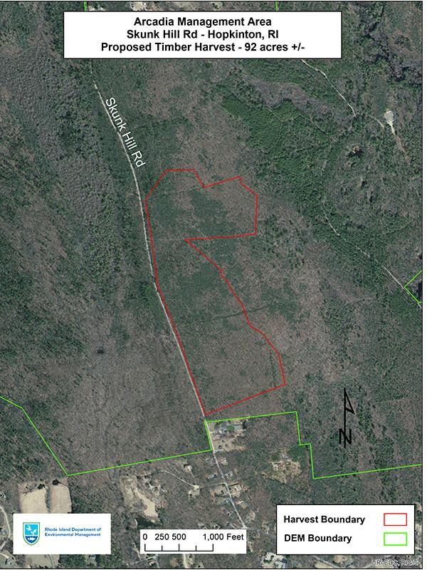 State Land Stewardship: Forest Thinning and Timber Harvests | Rhode ...