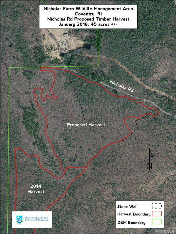 State Land Stewardship: Forest Thinning and Timber Harvests | Rhode ...