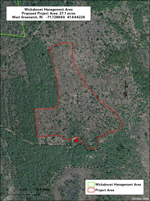 State Land Stewardship: Forest Thinning and Timber Harvests | Rhode ...