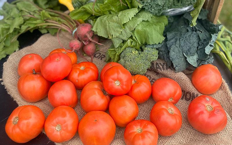 Agriculture Grant Opportunities | Rhode Island Department of ...