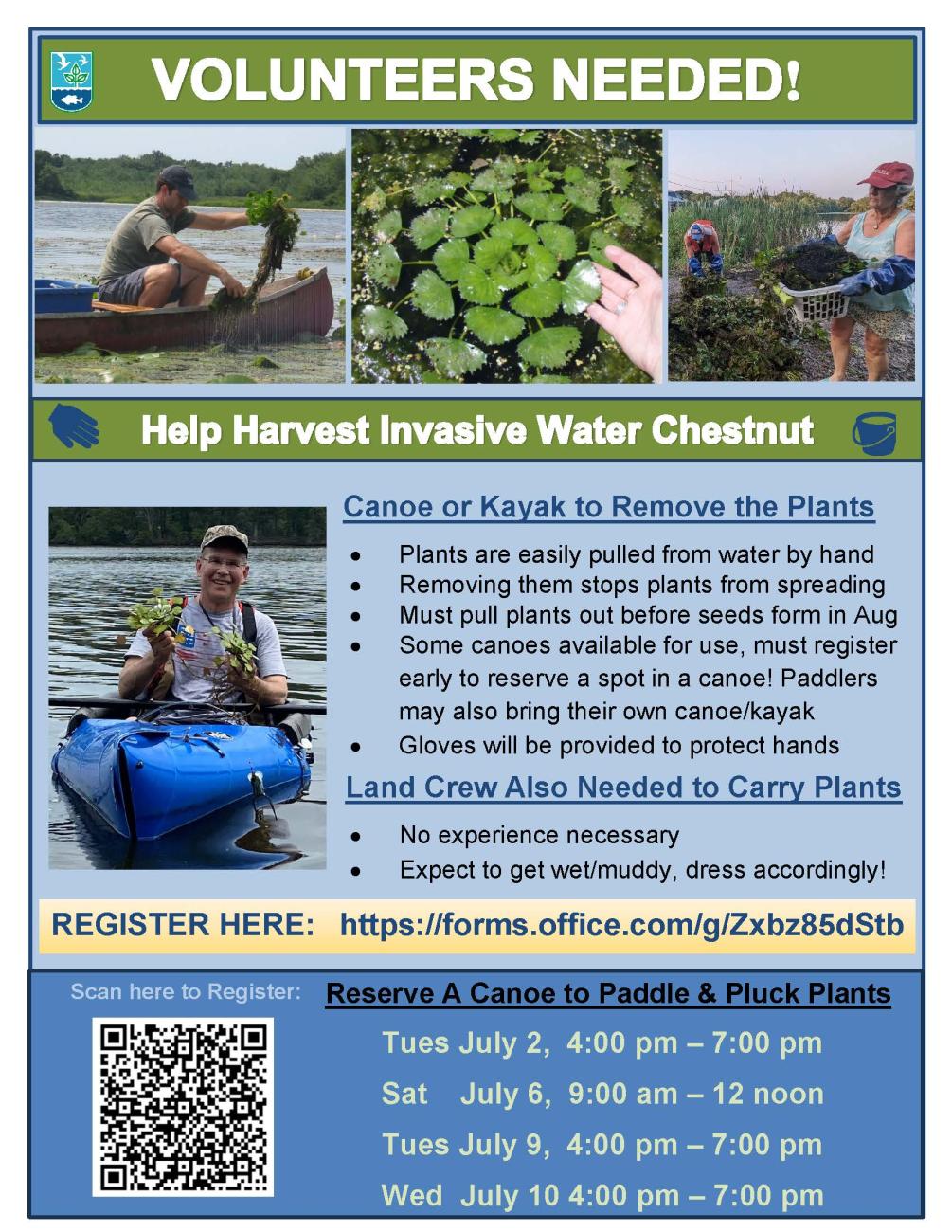 Volunteer Event to Remove Invasive Water Chestnut Plants from Turner ...