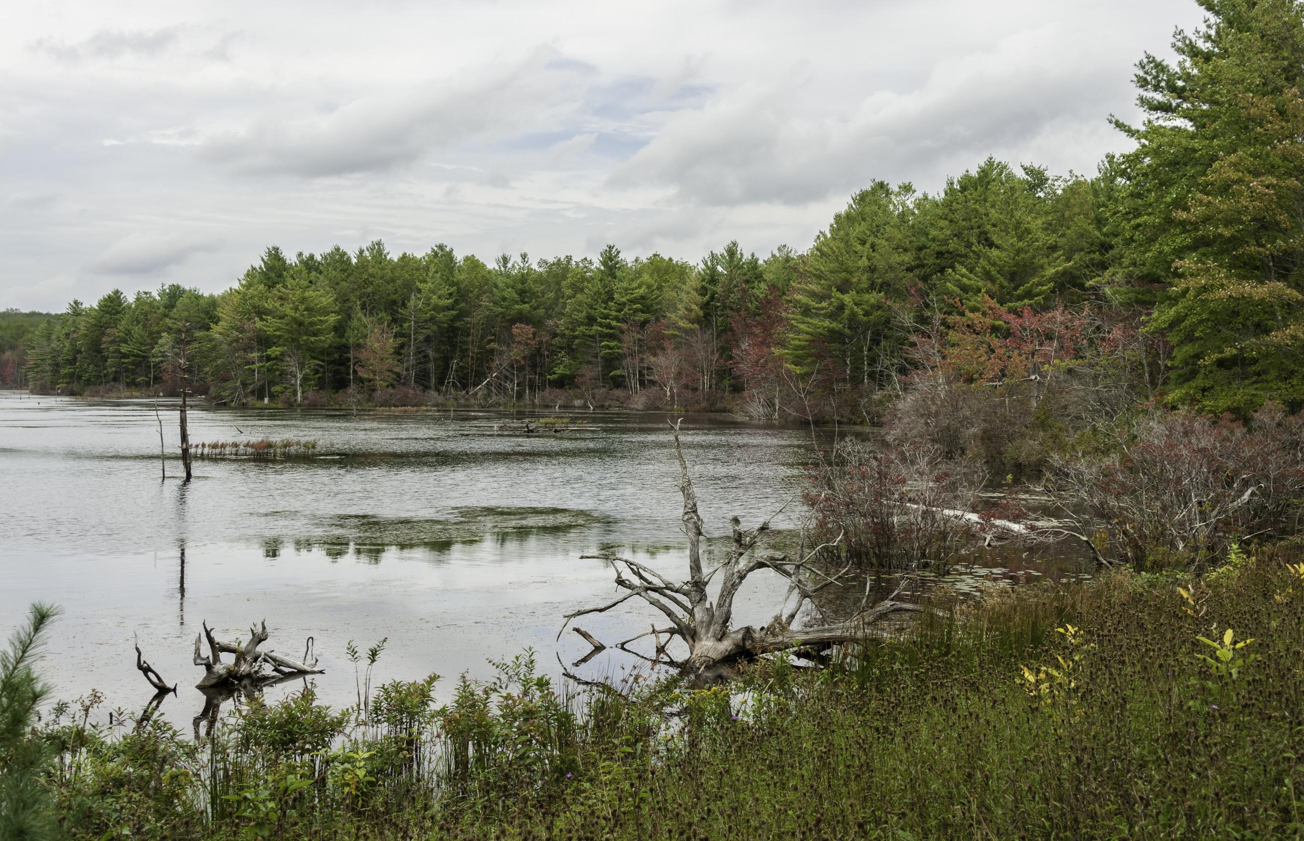 Climate of Rhode Island | Rhode Island Department of Environmental ...