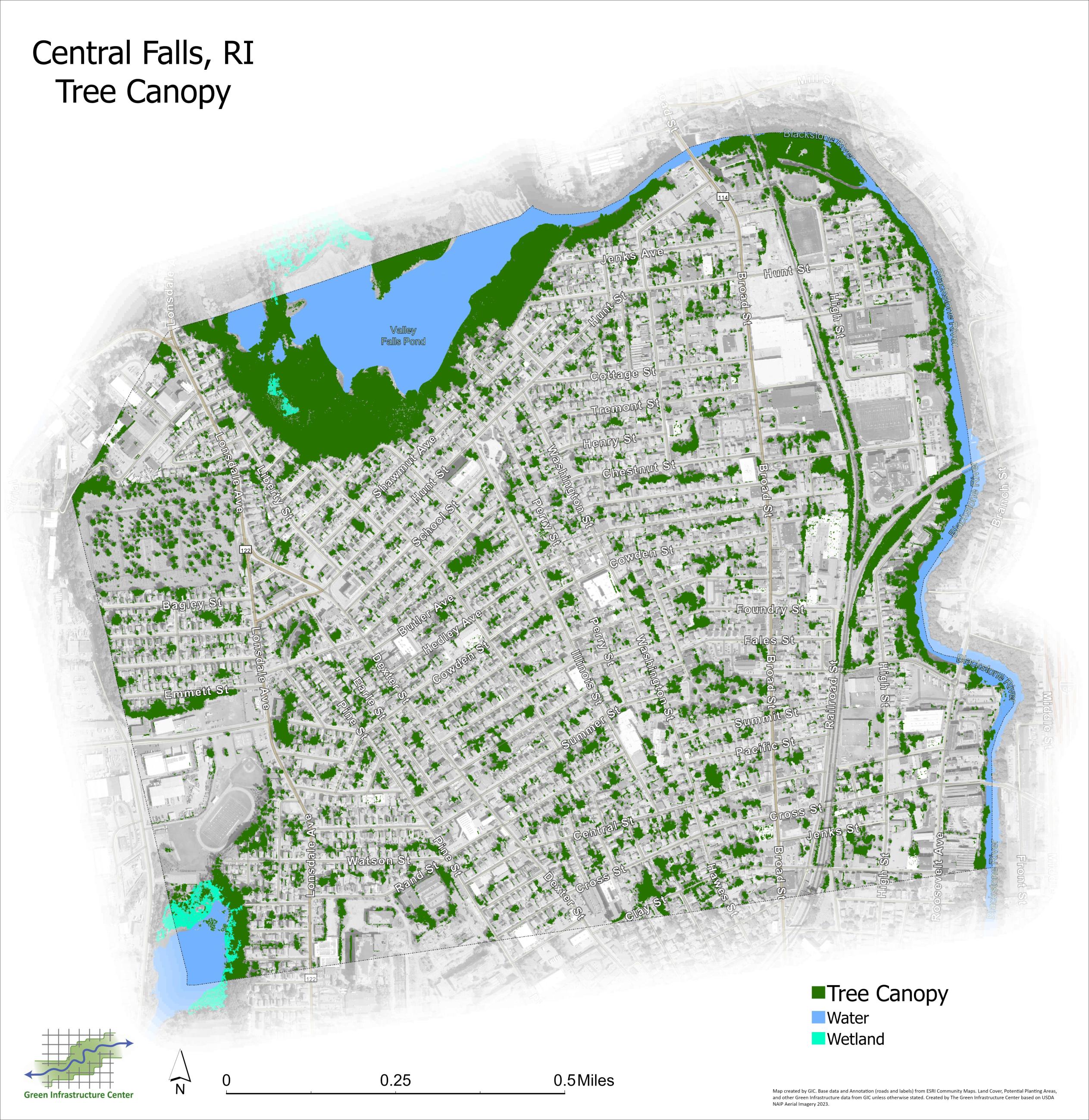 Urban Tree Inventory | Rhode Island Department of Environmental Management