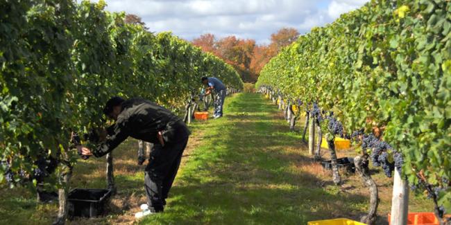 About Us | Rhode Island Department of Environmental Management