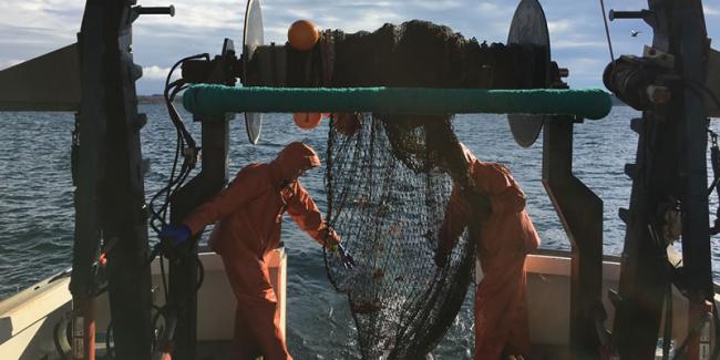 About Us | Rhode Island Department of Environmental Management