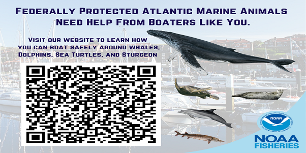 Boating Registration & Licenses | Rhode Island Department of ...