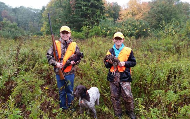 Ring-Necked Pheasant | Rhode Island Department of Environmental Management