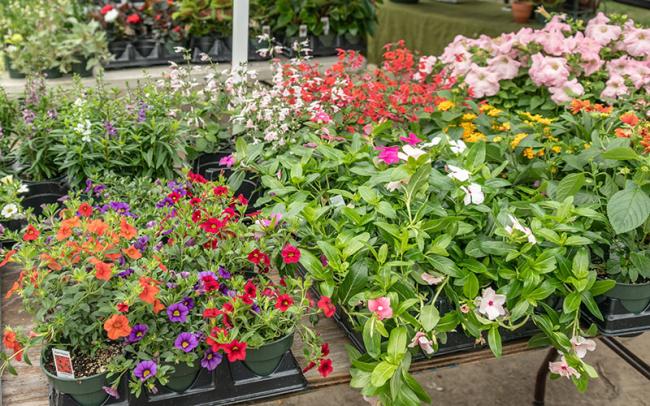RI Grown: Buy Fresh, Get Local | Rhode Island Department of ...