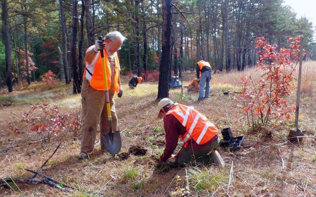 Volunteer Outreach Program | Rhode Island Department of Environmental ...