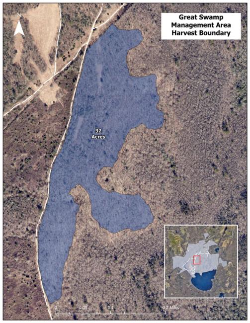 Forest Thinning and Timber Harvests on State Land | Rhode Island ...