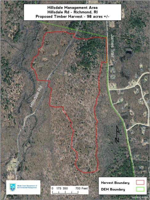 Forest Thinning and Timber Harvests on State Land | Rhode Island ...