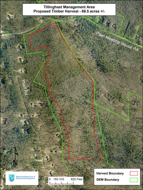 Forest Thinning and Timber Harvests on State Land | Rhode Island ...