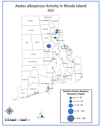 Asian Tiger Mosquito (Aedes albopictus) | Rhode Island Department of ...