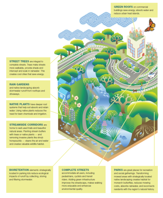 Trees as Green Infrastructure | Rhode Island Department of ...